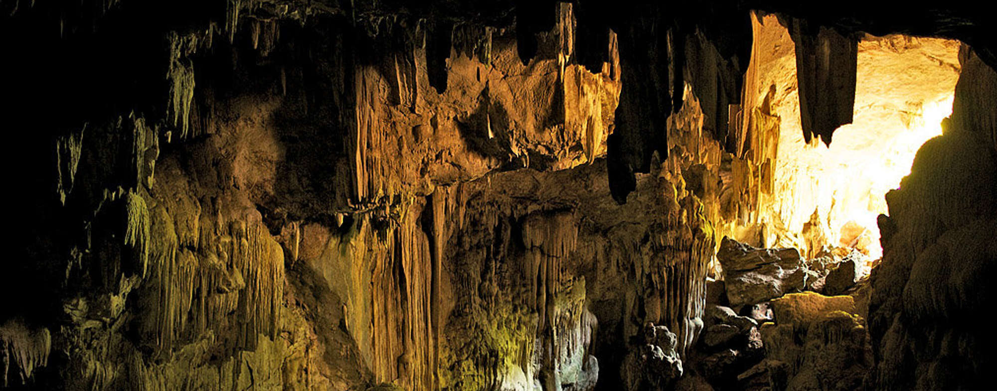 Thai Caving 101: How a Simple Hike Became An International Rescue Nigh
